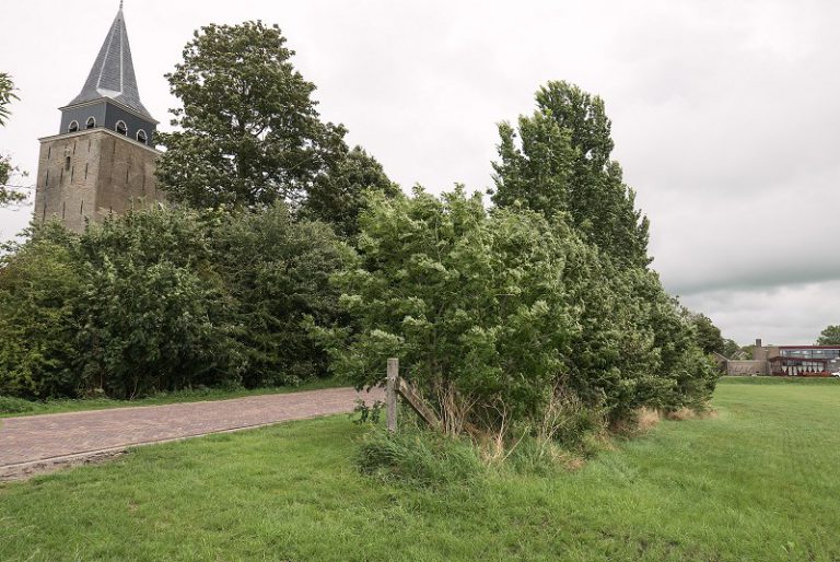 Achlum – wierden en terpen